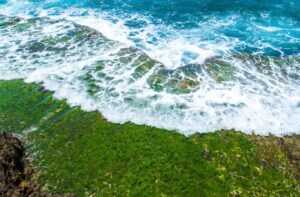Arwad Island Syria: History and Visiting Guide