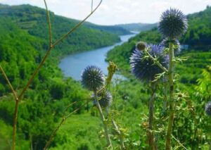 Syrian Nature: Best Natural Places and Landscapes to Visit