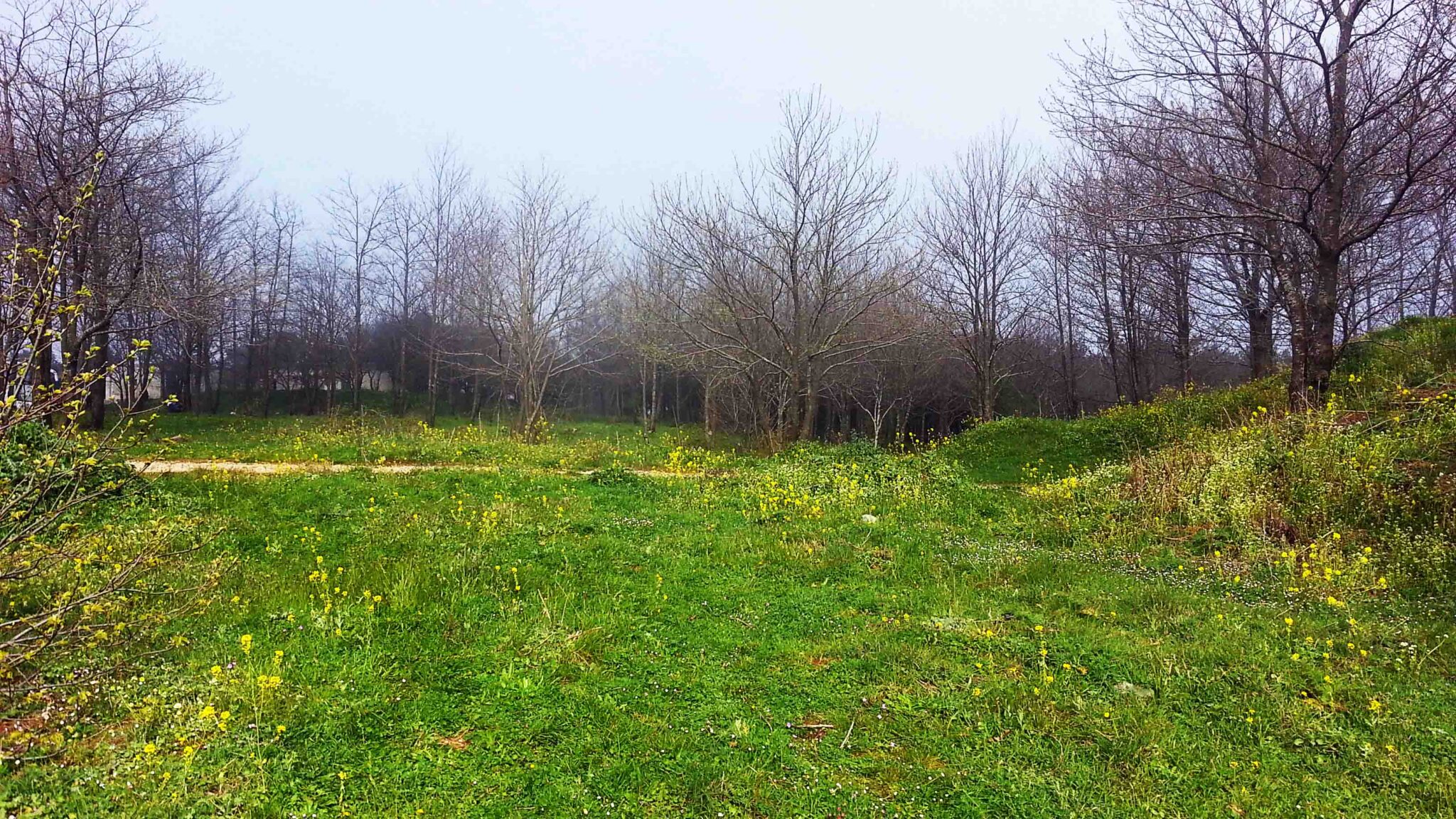 Forests in Syria: Best Places for Hiking and Nature
